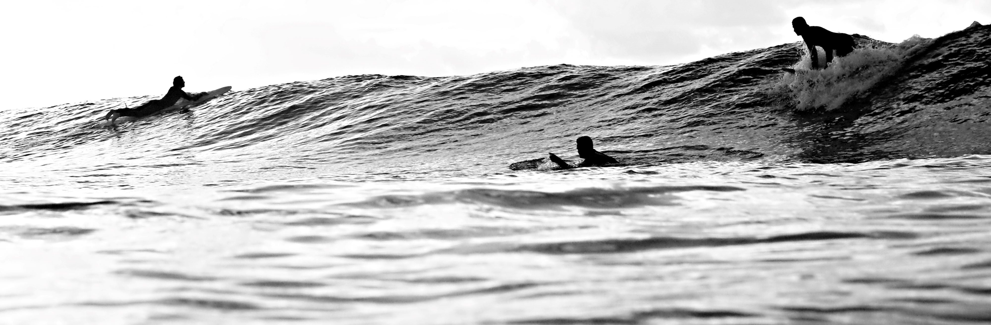 Surf - The Line Up